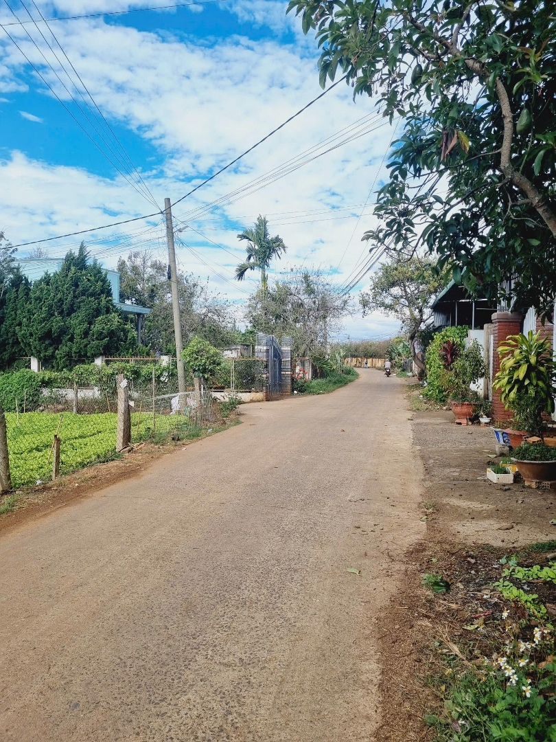 sự cấp bách - mảnh đất hiếm dt 6m x 65m gần trung tâm không chờ đợi ai! - Bán đất tại Xã Liên ...