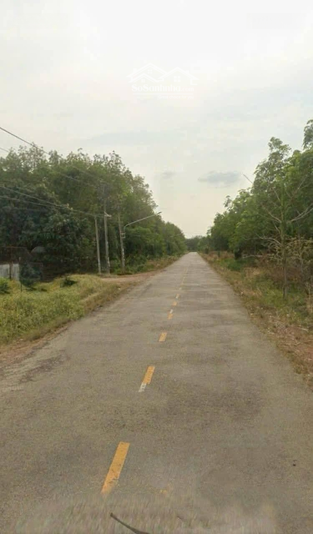 cần bán 10.000m2 đất skc tại tân lập bắc tân uyên bình dương - Bán kho, nhà xưởng tại Xã Tân Lập ...