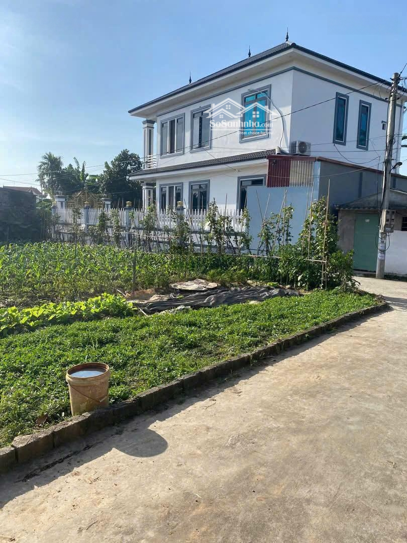 bán đất đẹp, không một lỗi nhỏ, quảng giang đại hợp - Bán đất tại Xã ...